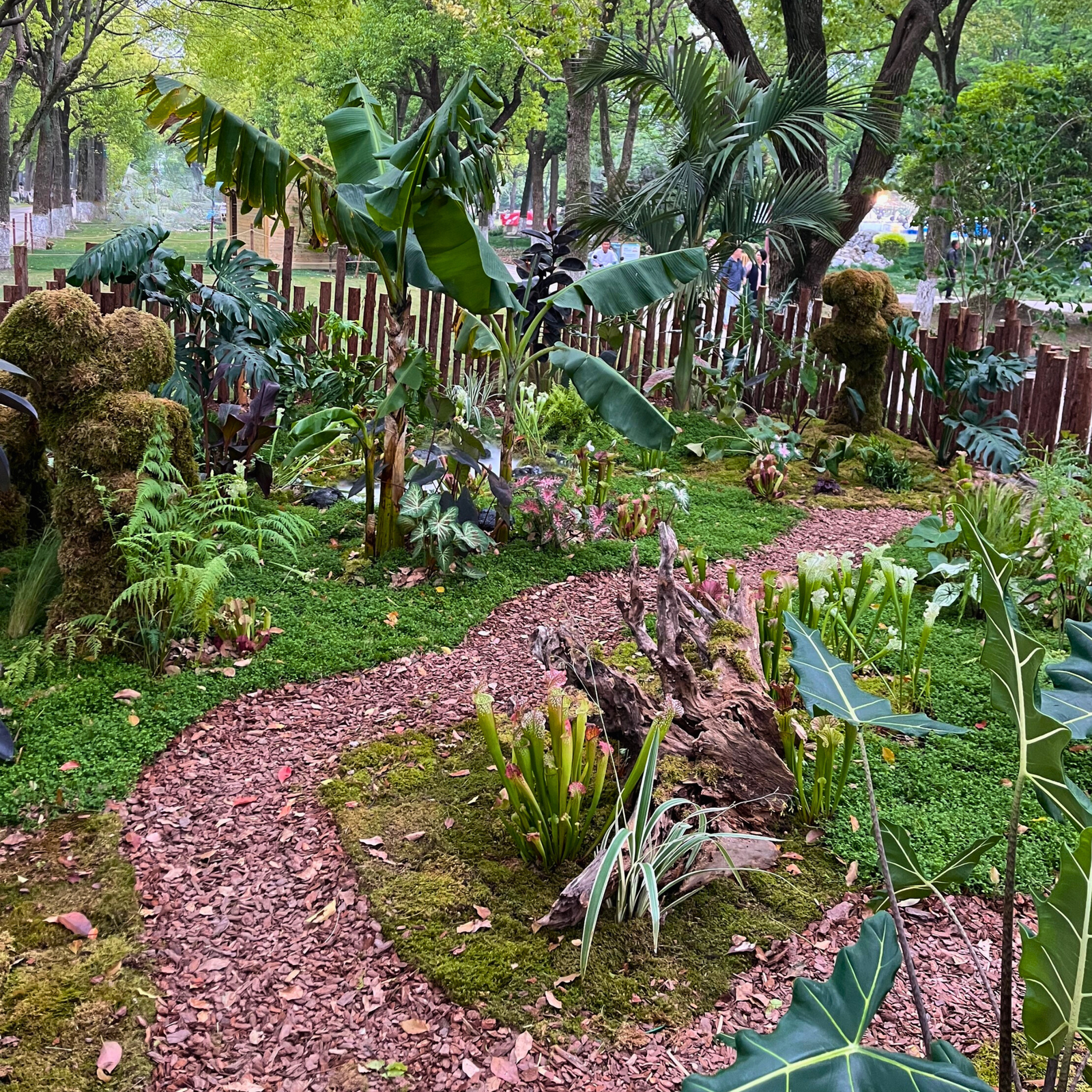 Victory Nursery | Trees, Plants & Garden Delivery in California